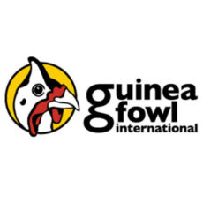 Color Chart – Guinea Fowl International